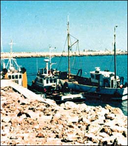Nouvelle dynamique du secteur de la pêche - Le Matin.ma
