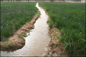 Les perspectives du Plan bleu sur l'environnement et le développement ...