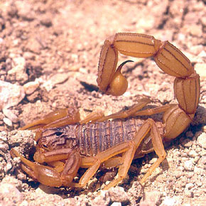 30.000 cas recensés annuellement - Le Matin.ma