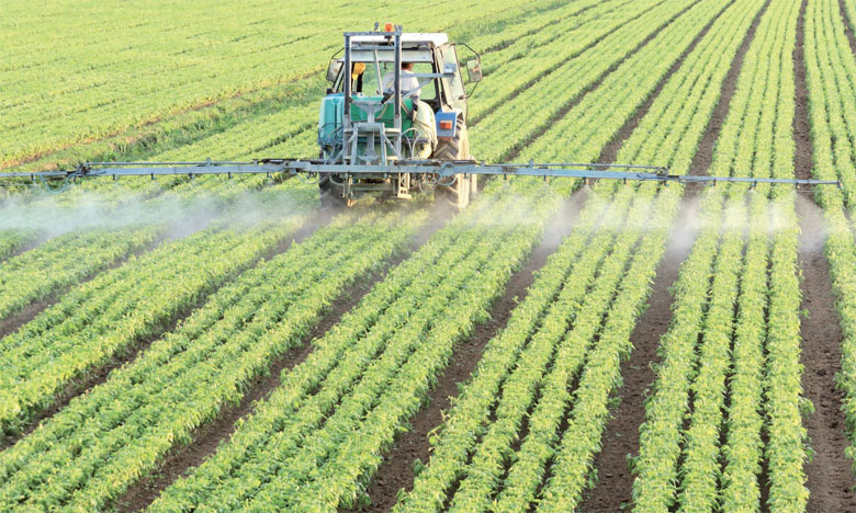 «Il est possible d'améliorer la production agricole sans nuire à l ...