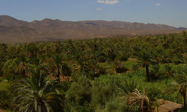 Menaces climatiques sur les écosystèmes oasiens - Le Matin.ma